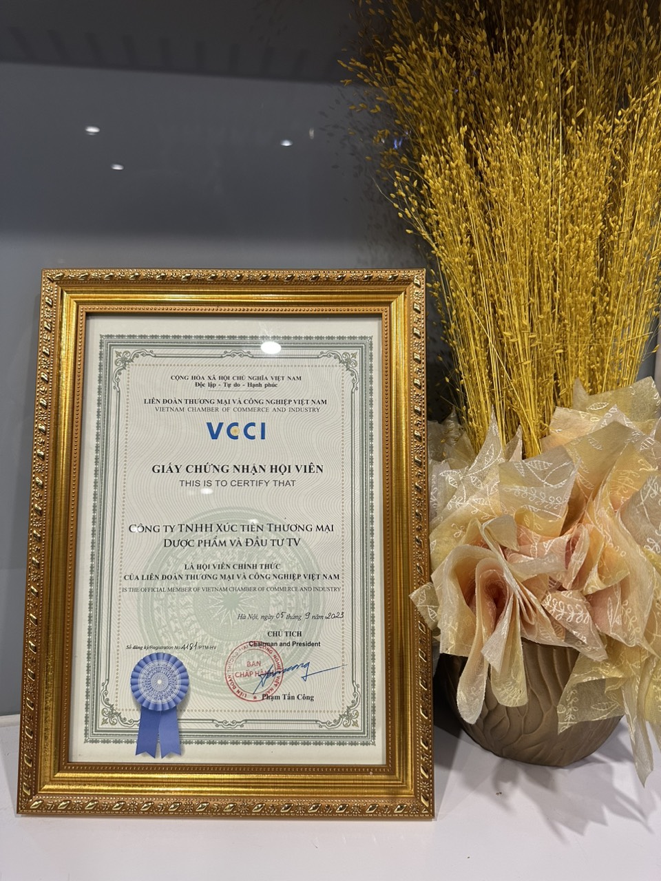 TV TPI is honored to become a member of VCCI - Vietnam Chamber of ...